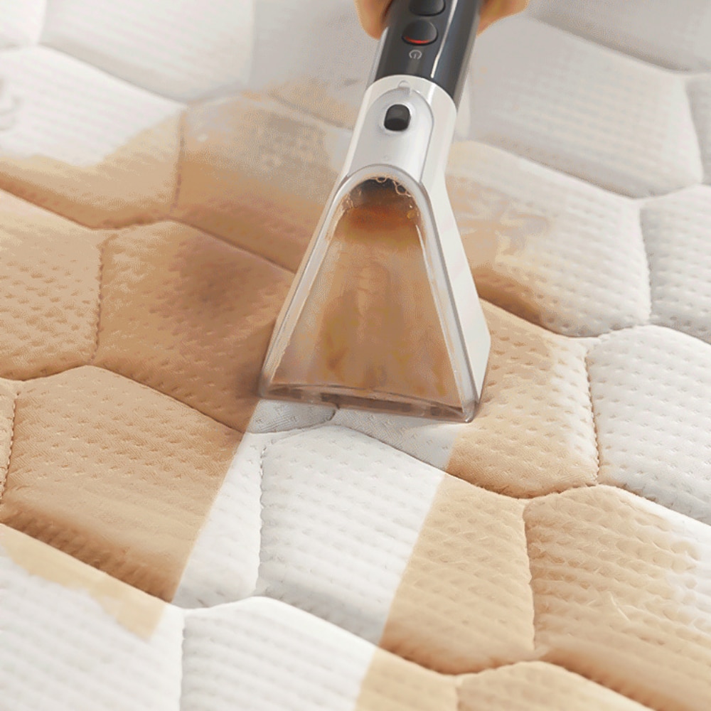 Aspirator profesional cu spalare cu abur 100ºC RYER STAIN CLEANER ...