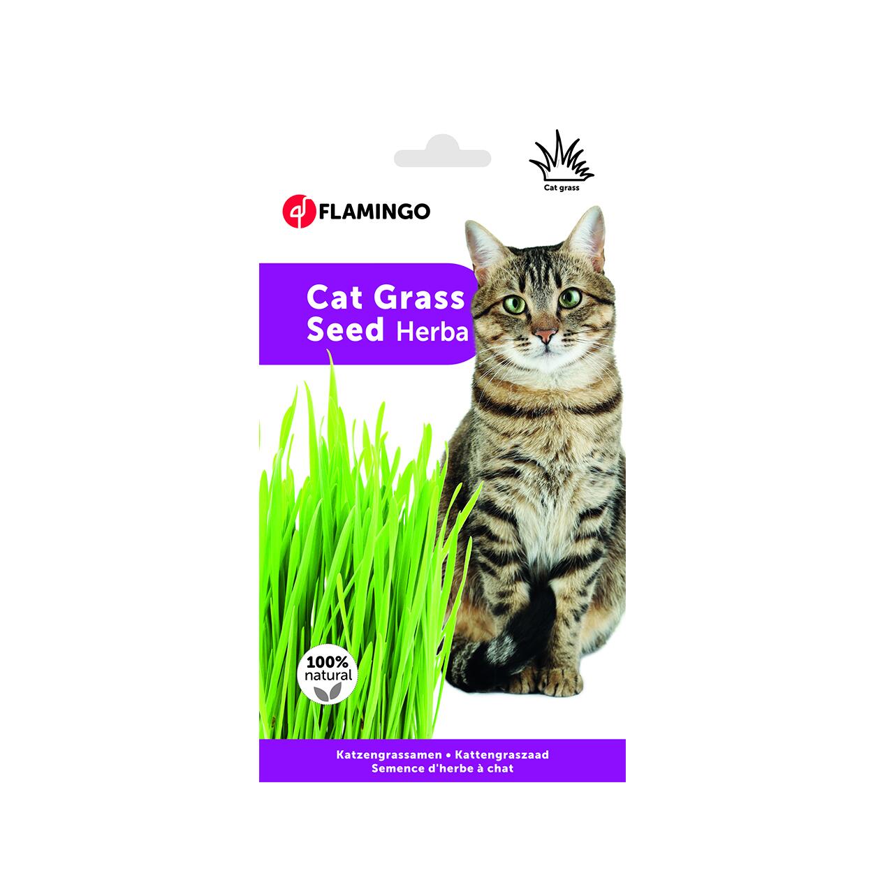 Seminte Iarba pisicii, Flamingo, pentru reglarea tranzitului intestinal ...