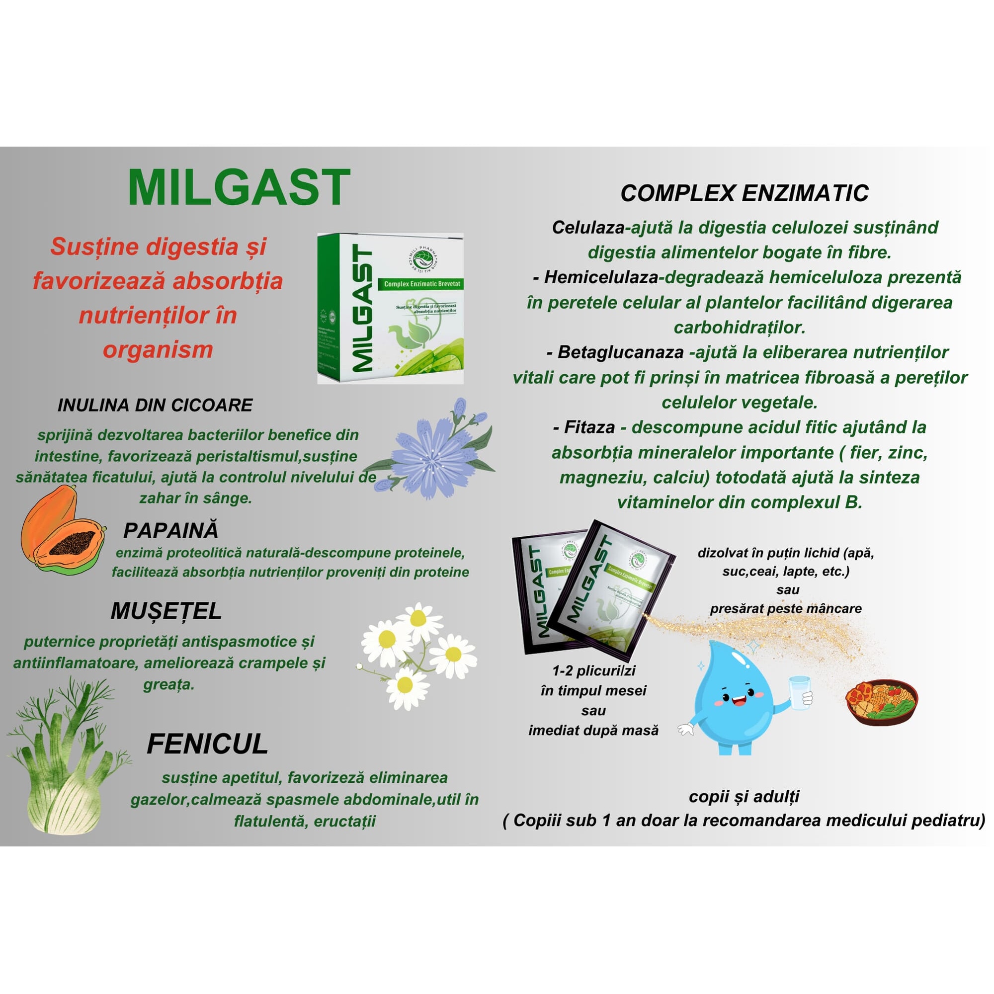 Supliment alimentar, Mili Pharma, MILGAST, Enzime digestive, 10 plicuri ...