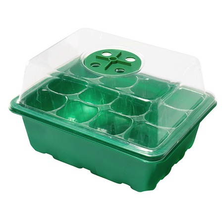 Set de vaze decorative din plastic transparent pentru germinare ...
