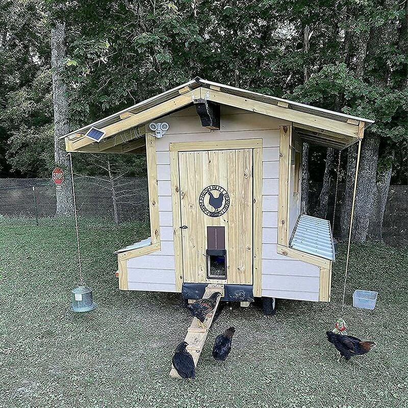 Deschizator automat pentru usa de cotet pui, rezistent la intemperii ...