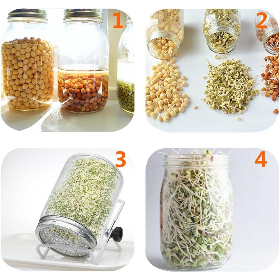 Set 4 Capace pentru borcane de germinare, AMRINUGL, Inox, 9 x 9 cm ...