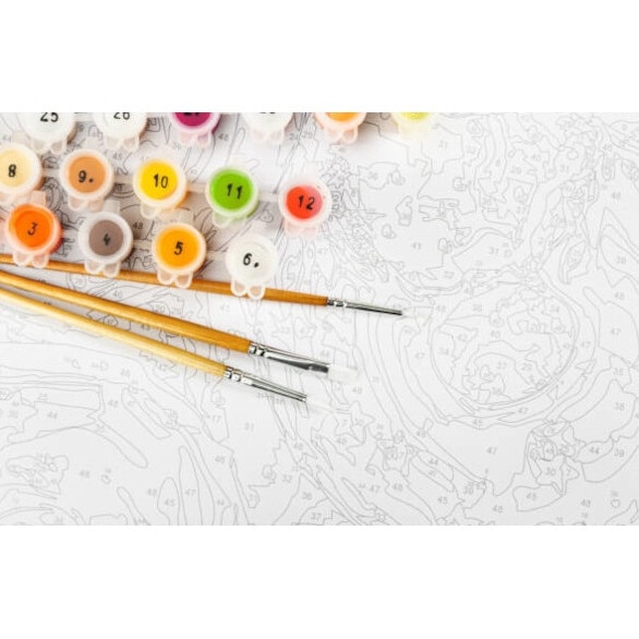 Set Pictura dupa Numere, Norimpex, cu Rama, 50x40cm - eMAG.ro