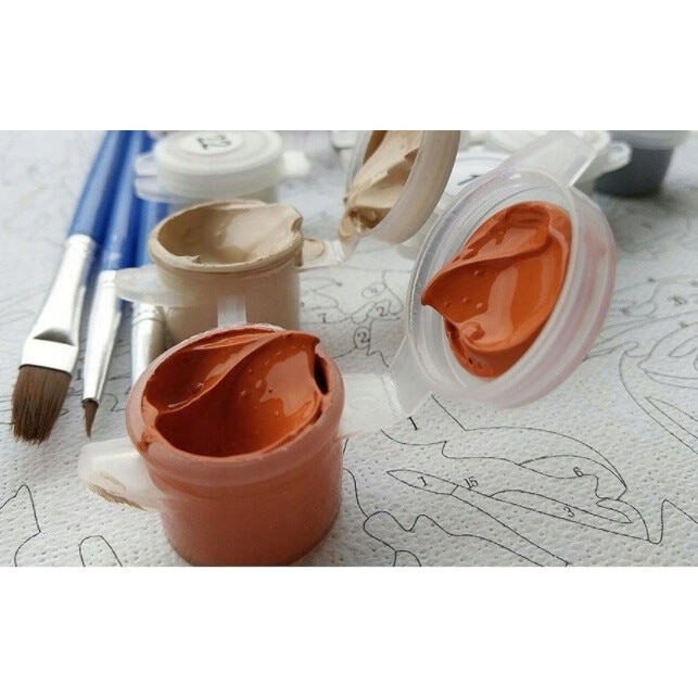 Set Pictura dupa Numere, Norimpex, cu Rama, 50x40cm - eMAG.ro