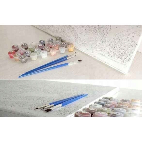 Set Pictura dupa Numere, Norimpex, cu Rama, 50x40cm - eMAG.ro