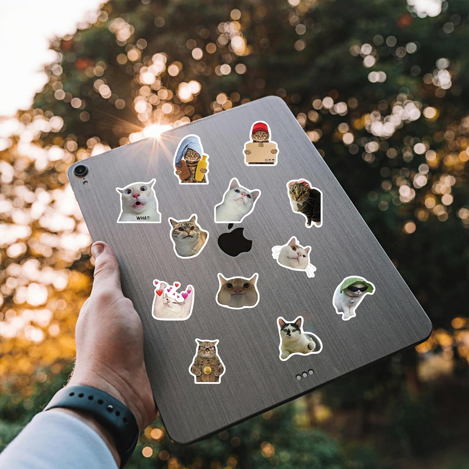 Caltucus Core® Set 50 Stickere Decorative, Pisici Haioase, Rezistente ...