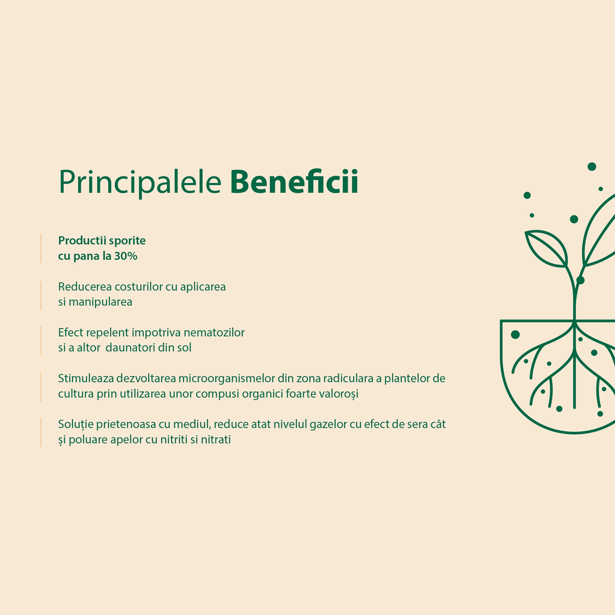 Ingrasamant cu Azot si Extracte Humice - N-Durro 46, 46% N, Efect 100 ...