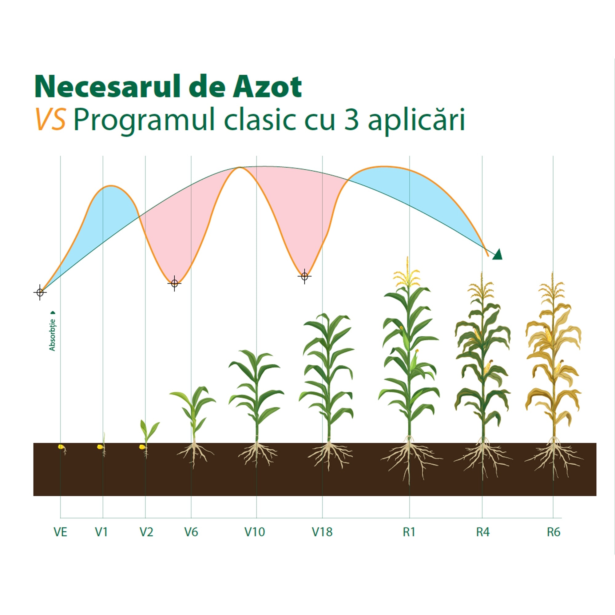 Ingrasamant cu Azot si Extracte Humice - N-Durro 46, 46% N, Efect 100 ...