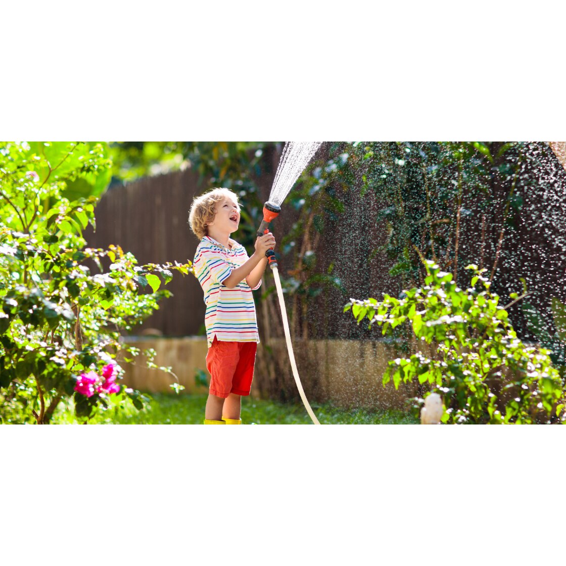 Seminte de gazon Shadow&Sun, Barenburg, Rezistenta la boli, 50m2, 1 kg ...