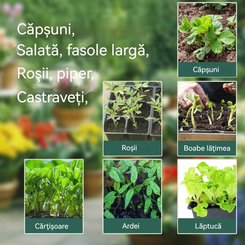 Set 10 Tavi Germinare YSBER, 60 Celule, Reglaj Umiditate, Plastic ...