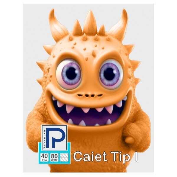 Set 10 buc Caiet tip I, 40 file Paperland - eMAG.ro
