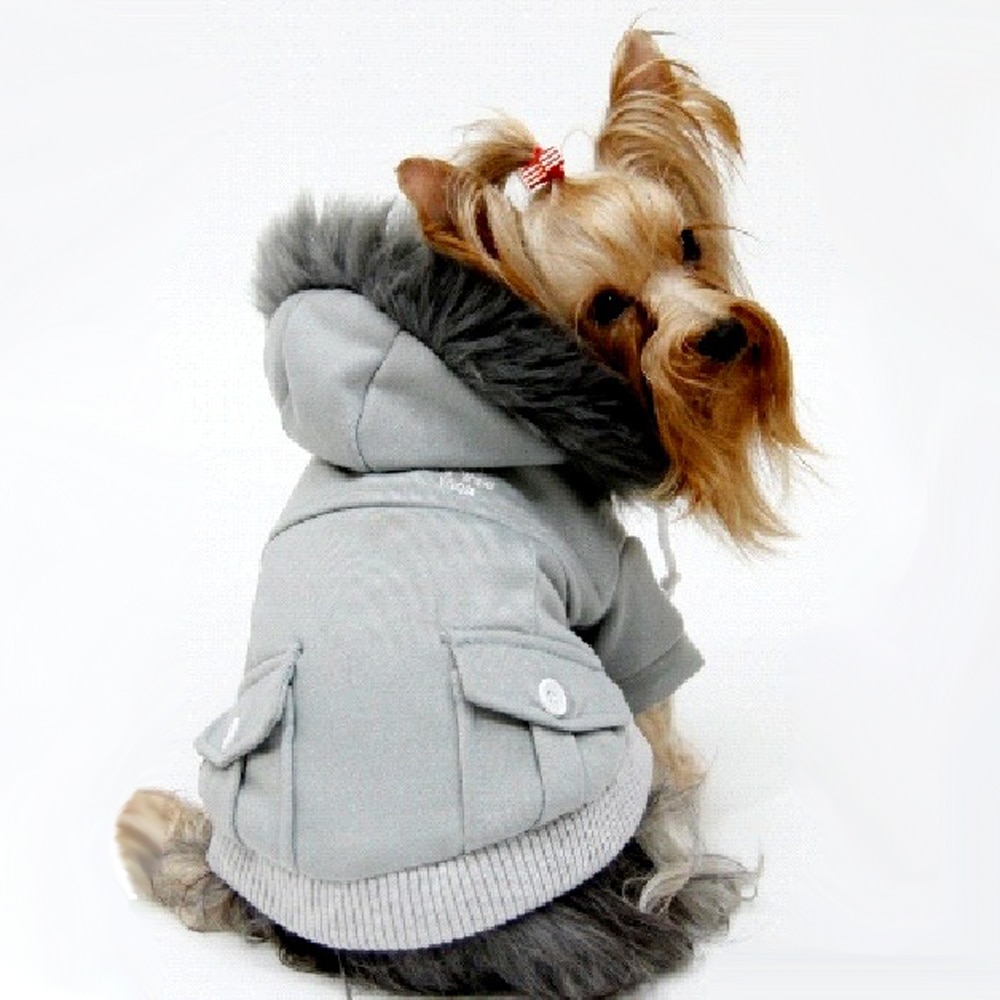 Haina Dog Dog Collection, S480, 35 cm, Gri - eMAG.ro