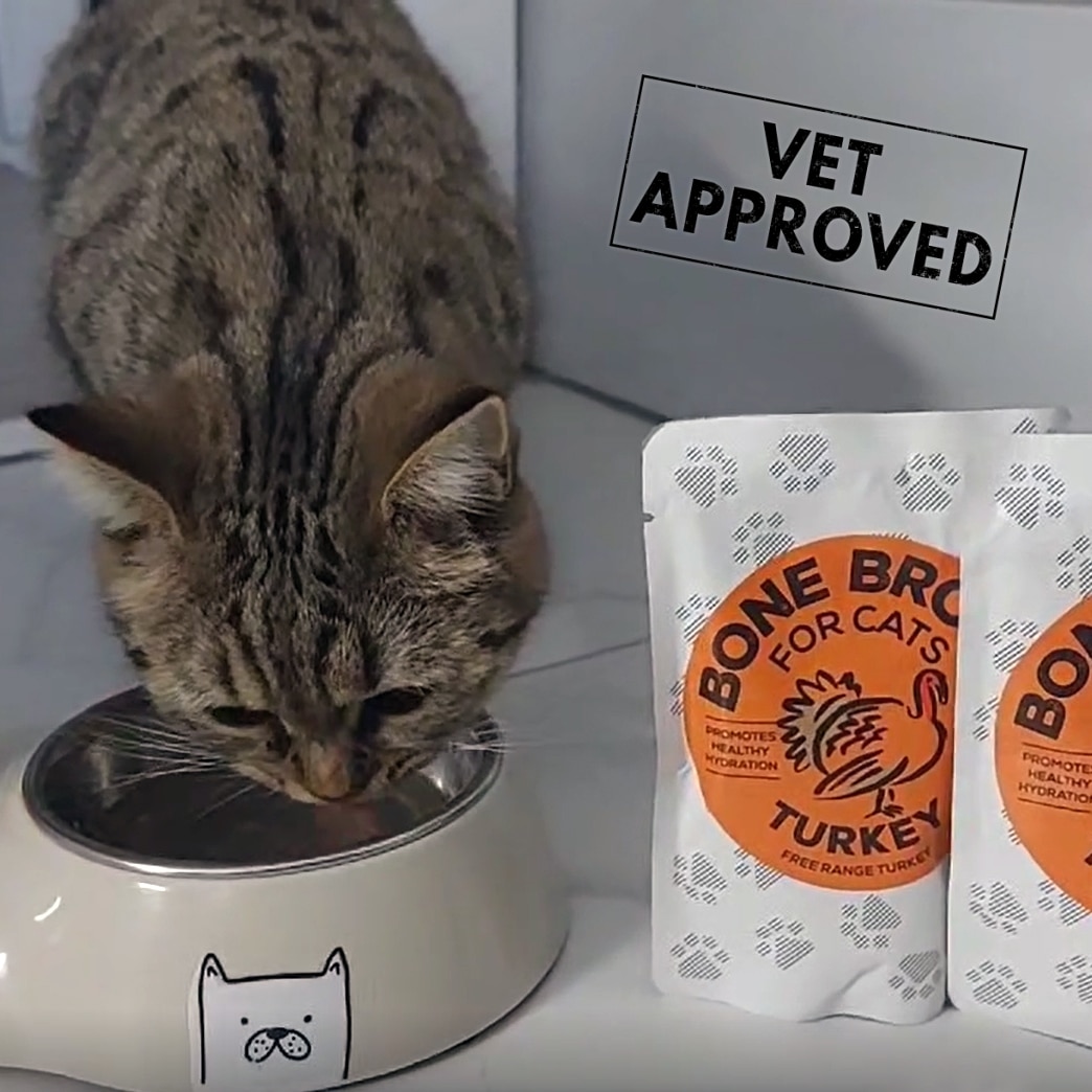 Supa de oase de peste rosu pentru pisici, Food Studio, 100 ml 1 plic ...