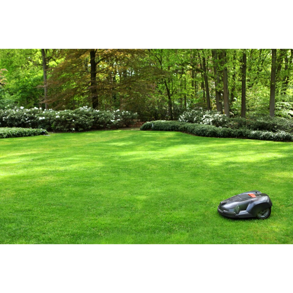 Ingrasamant primavara pentru gazon, Complex natural, 8kg, pentru masini ...