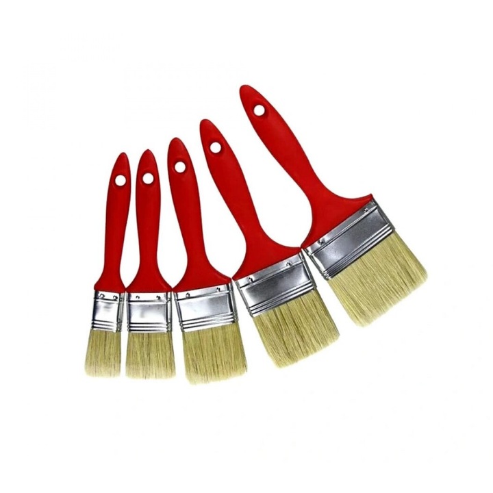 Set 5 pensule universale pentru vopsit, maner din PVC - eMAG.ro