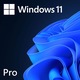 Microsoft Windows 11 Pro, 64 bites, többnyelvű, kiskereskedelmi, USB 3. ...