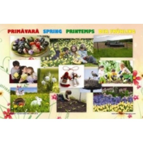 Set Planse Anotimpuri - eMAG.ro