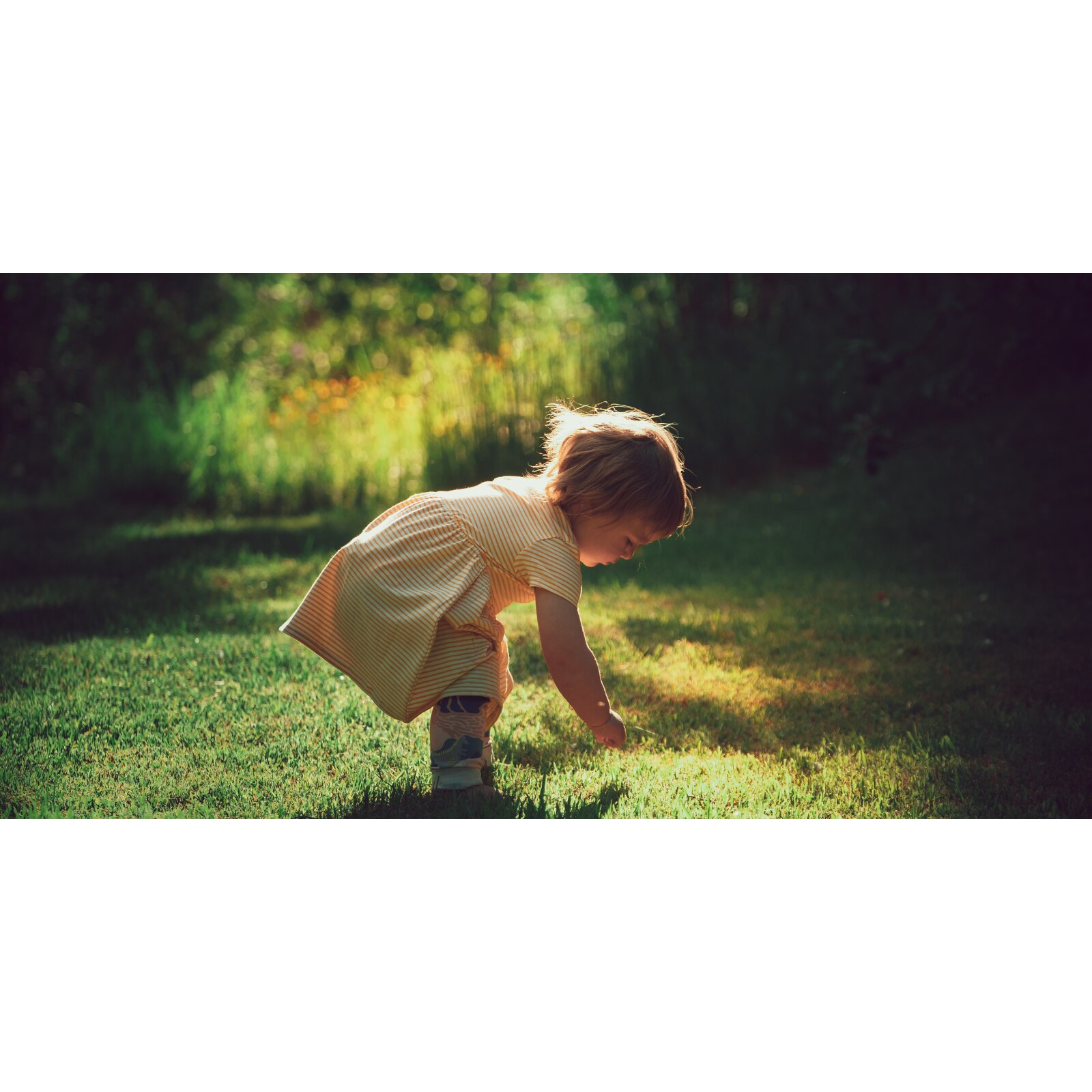 Seminte de gazon Shadow&Sun, Barenburg, Rezistenta la boli, 50m2, 1 kg ...