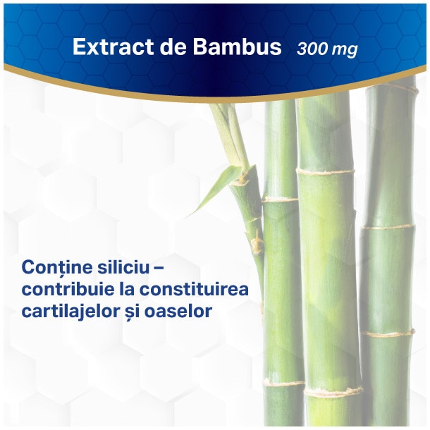 Reumabloc Akut, Sun Wave Pharma, Palmitoiletanolamidă, Boswellia pentru ...