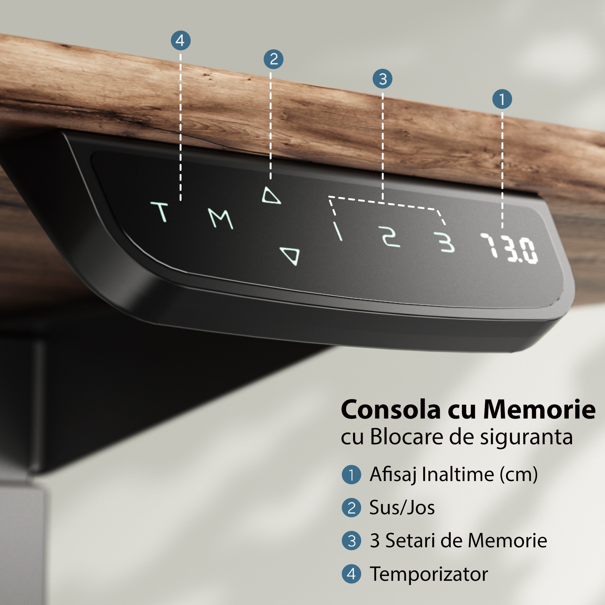 Birou reglabil electric StableDesk, 1 motor, Touchscreen, Ridica 80 kg ...