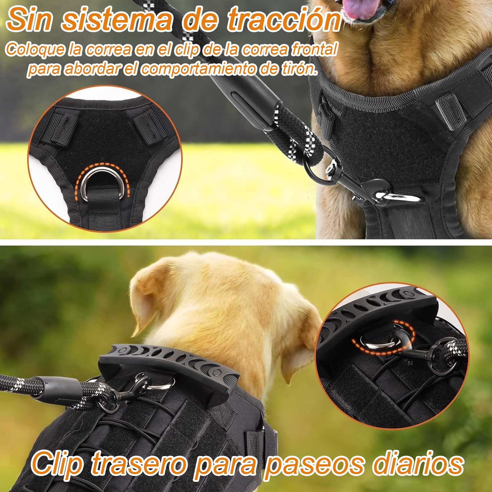 Set Ham Si Lesa Pentru Caine, Vesta tactica cu ham pentru caini de ...