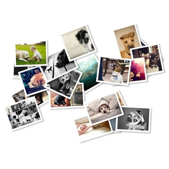 Set printare 50 poze, 13 x18 cm, hartie lucioasa, CRD PRINT - eMAG.ro