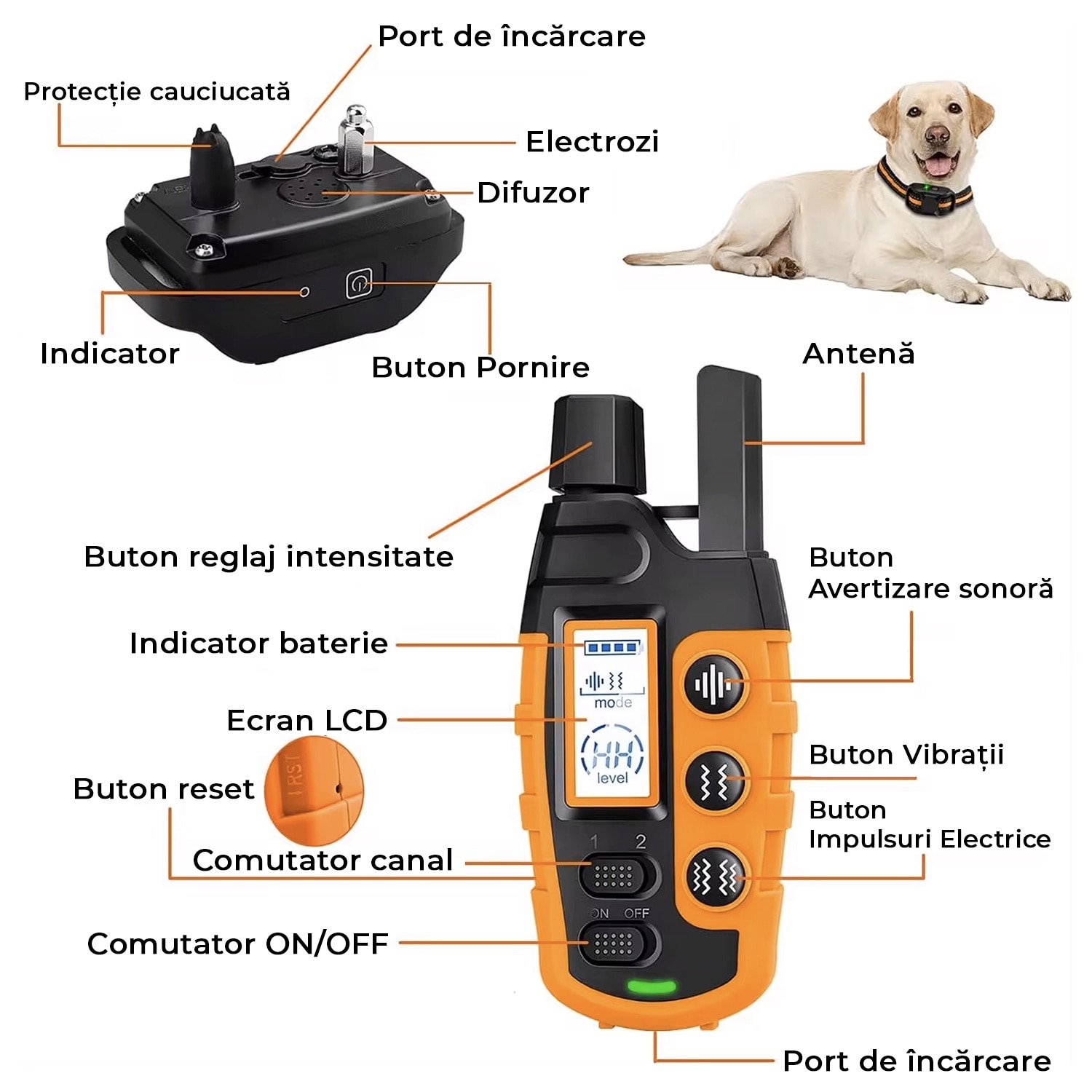 Zgarda Electrica Pentru Dresaj Caini cu Telecomanda, Model RS2D, Pentru 2 Caini, Raza de actiune ...