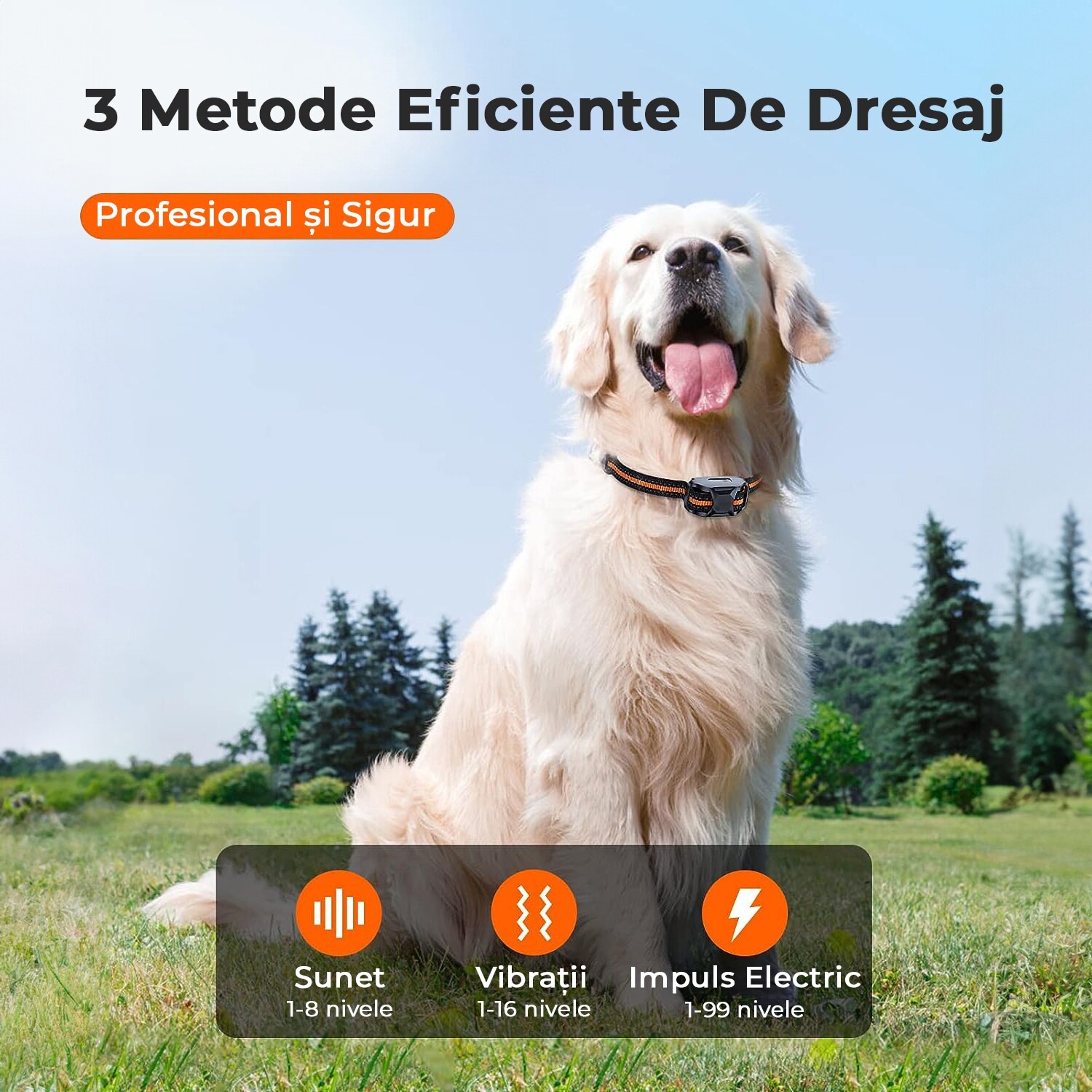 Zgarda Electrica Pentru Dresaj Caini cu Telecomanda, Model RS2D, Pentru 2 Caini, Raza de actiune ...