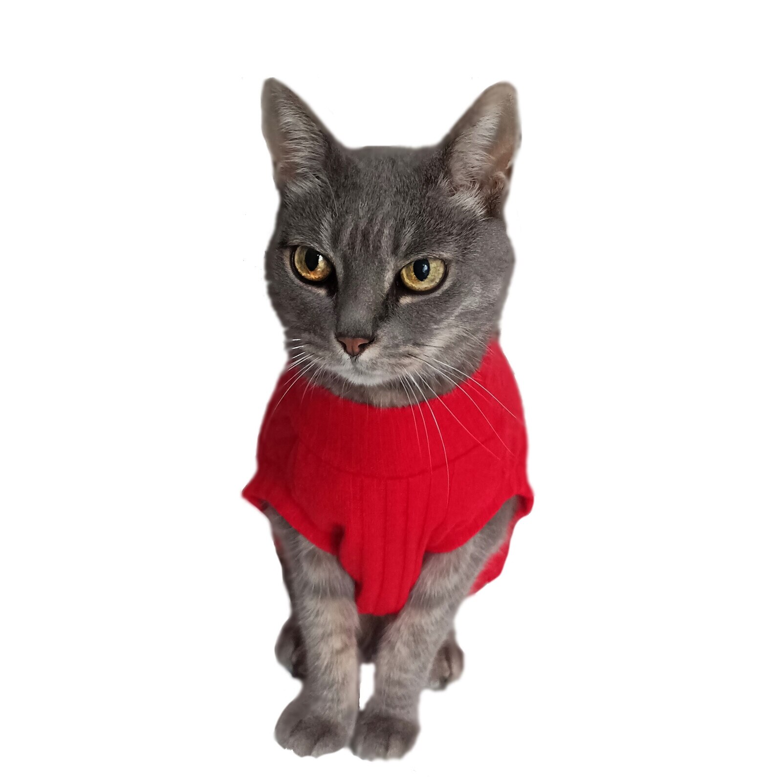 Pulover pentru pisici, Peta's rosu, marime 2XS - eMAG.ro