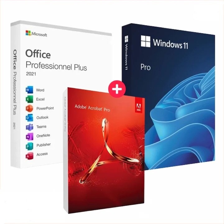 Licenta Windows 11 Pro + Licenta Office 2021 Professional Plus ...