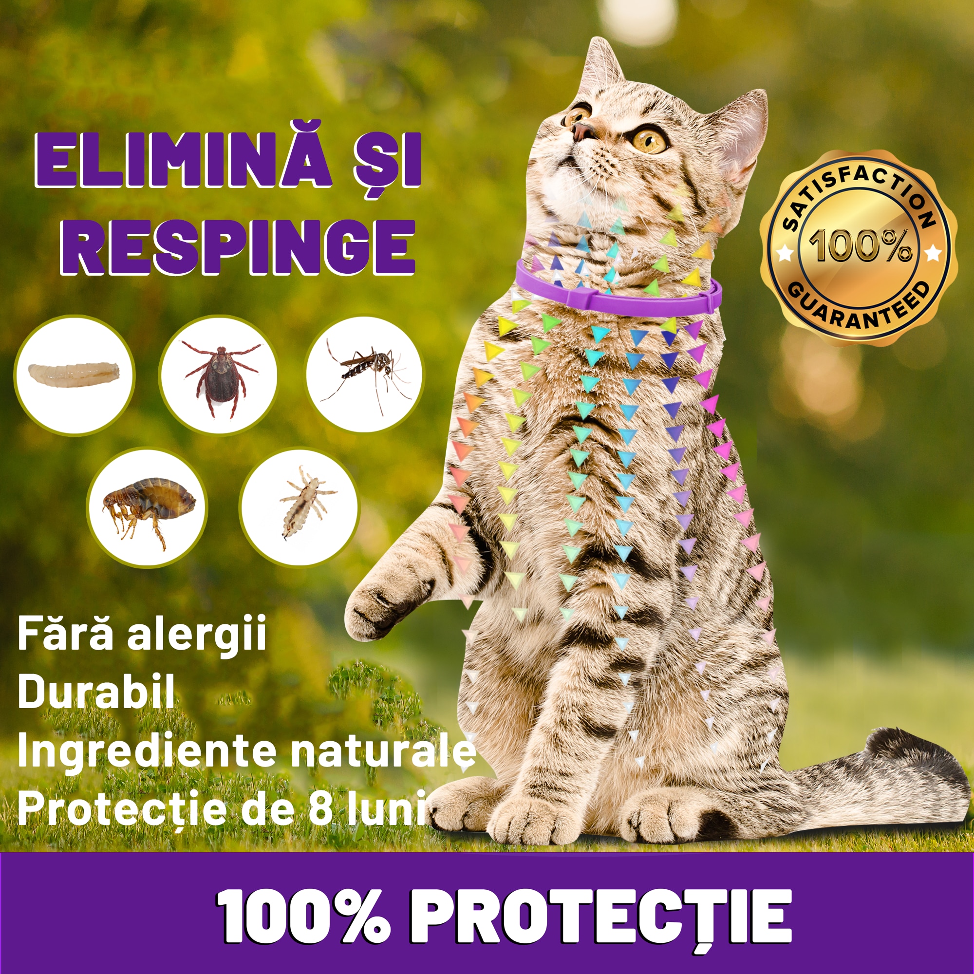 Zgarda Fish & Paws ®, anti purici pentru pisici, reglabila si ...