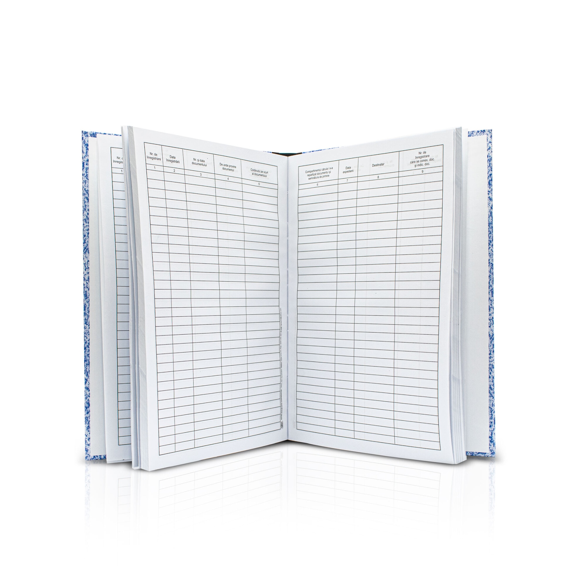 Registru intrare iesire 100 file mucava - eMAG.ro
