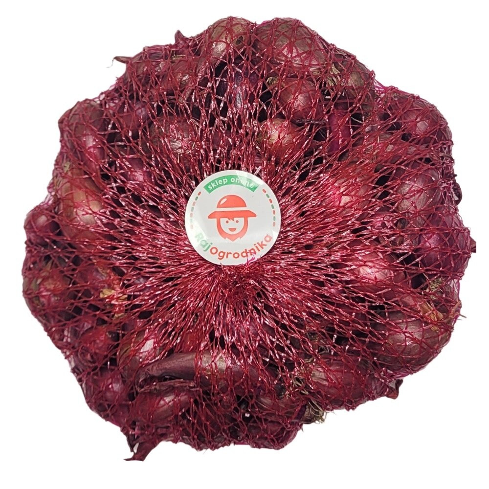 Ceapa rosie primavara Scarlet, bulbi pentru plantare, 250g - eMAG.ro