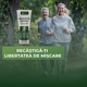 Neuropato Protect: Unguent Pentru Neuropatie & Sanatatea Nervilor cu 18 ...