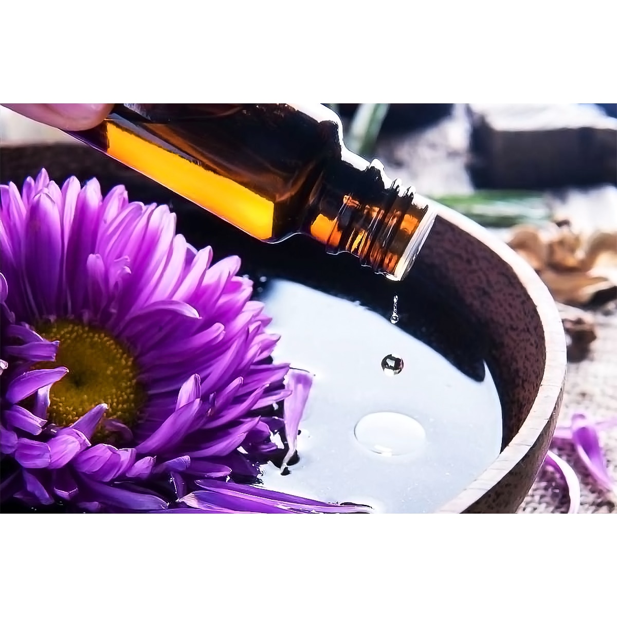 Ulei esential Catusnica (Catnip) (Nepeta cataria), puritate 100%, 10 ml ...