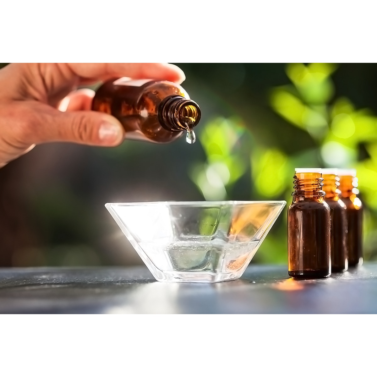 Ulei esential Catusnica (Catnip) (Nepeta cataria), puritate 100%, 10 ml ...