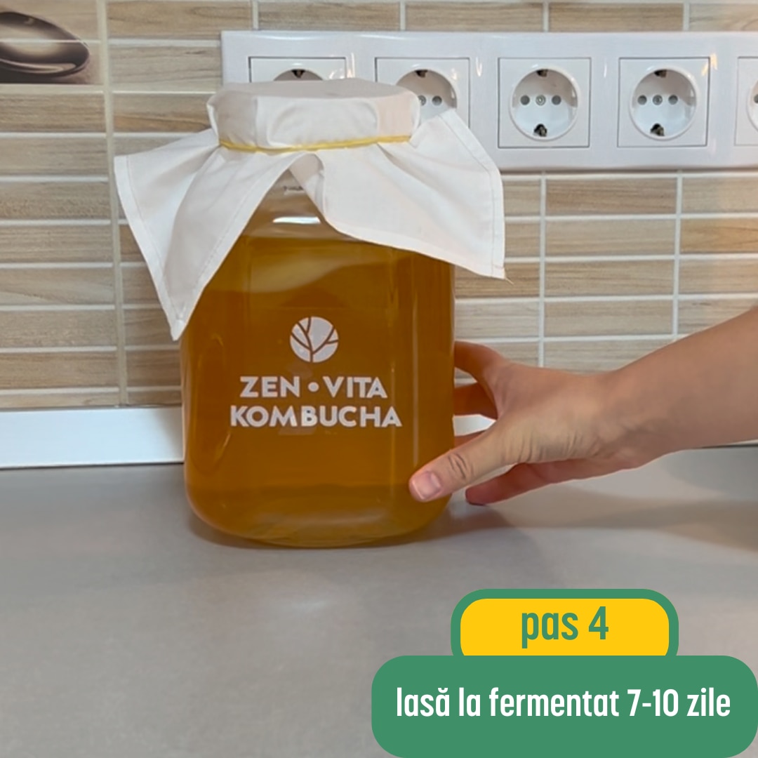 Set pentru pregatire kombucha acasa - eMAG.ro