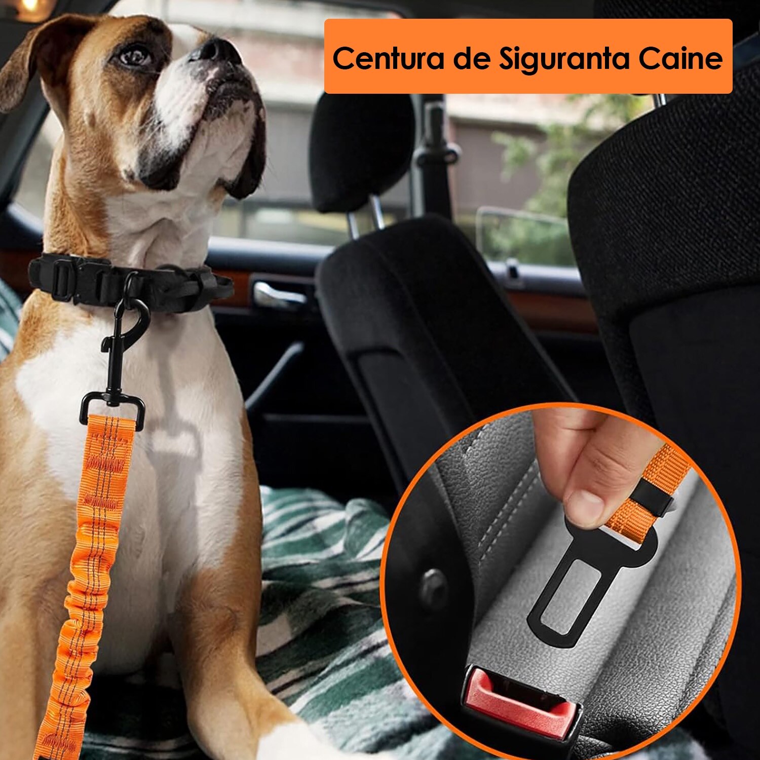 Husa Auto Protectie pentru Transport Animale, BYONDSELF®, Impermeabila ...