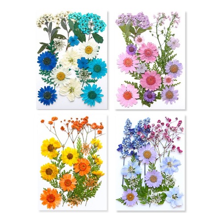 Set 72Pcs Flori Presate Naturale, Suveniruri, Multicolor, pentru ...