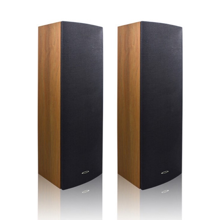 Boxe coloana 15W de interior DSPPA DSP203II, pereche - eMAG.ro