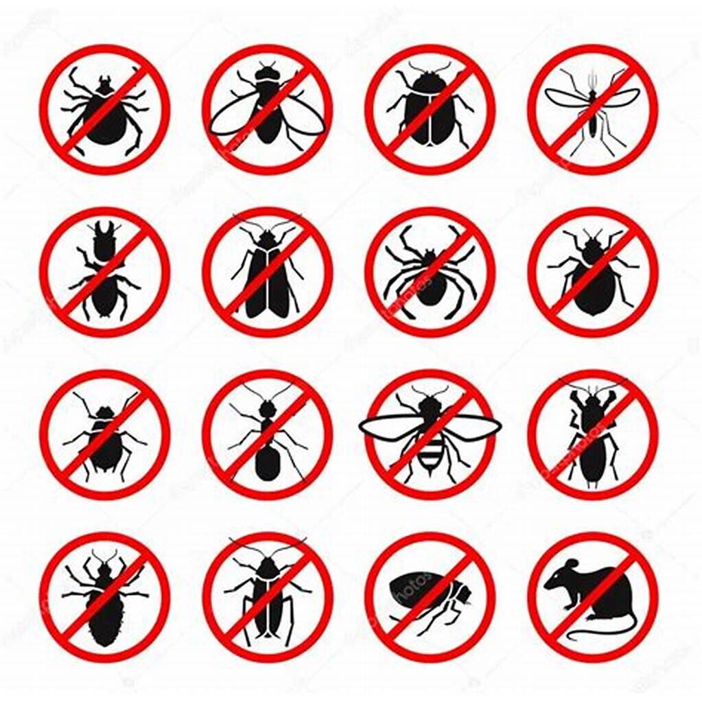 Insecticide anti plosnite, gandaci, purici, muste K-othrine 25 ml si ...
