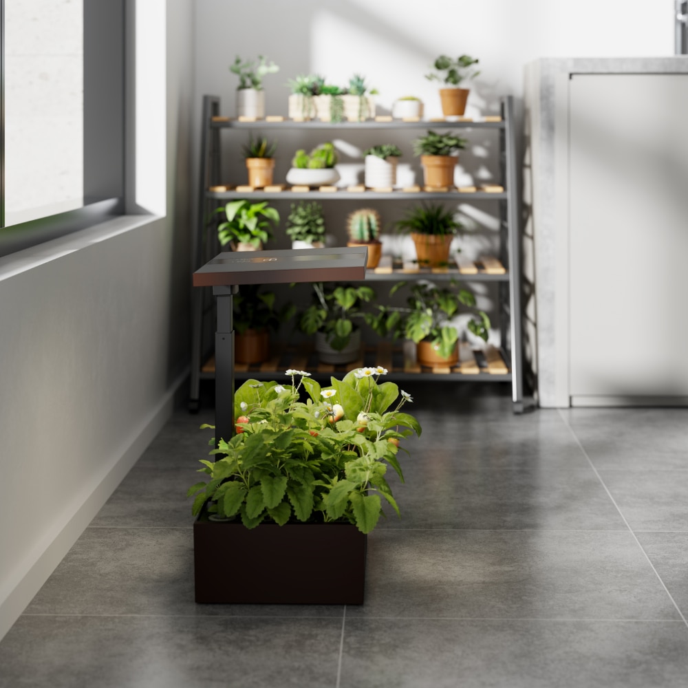 Ghiveci cu sistem hidroponic, LED, 20 plante, Verde - eMAG.ro