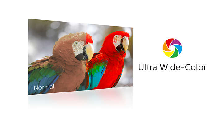 Monitor curbat LED VA Philips 34", Ultra Wide QHD, Display Port ...