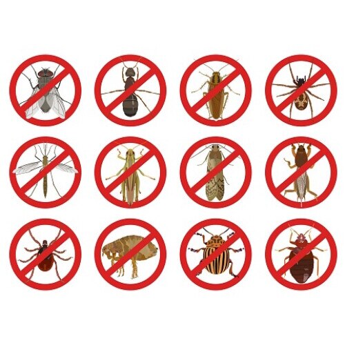 Insecticid granule K-othrine WG 20 gr Envu si sac lavanda LF 10 gr anti ...