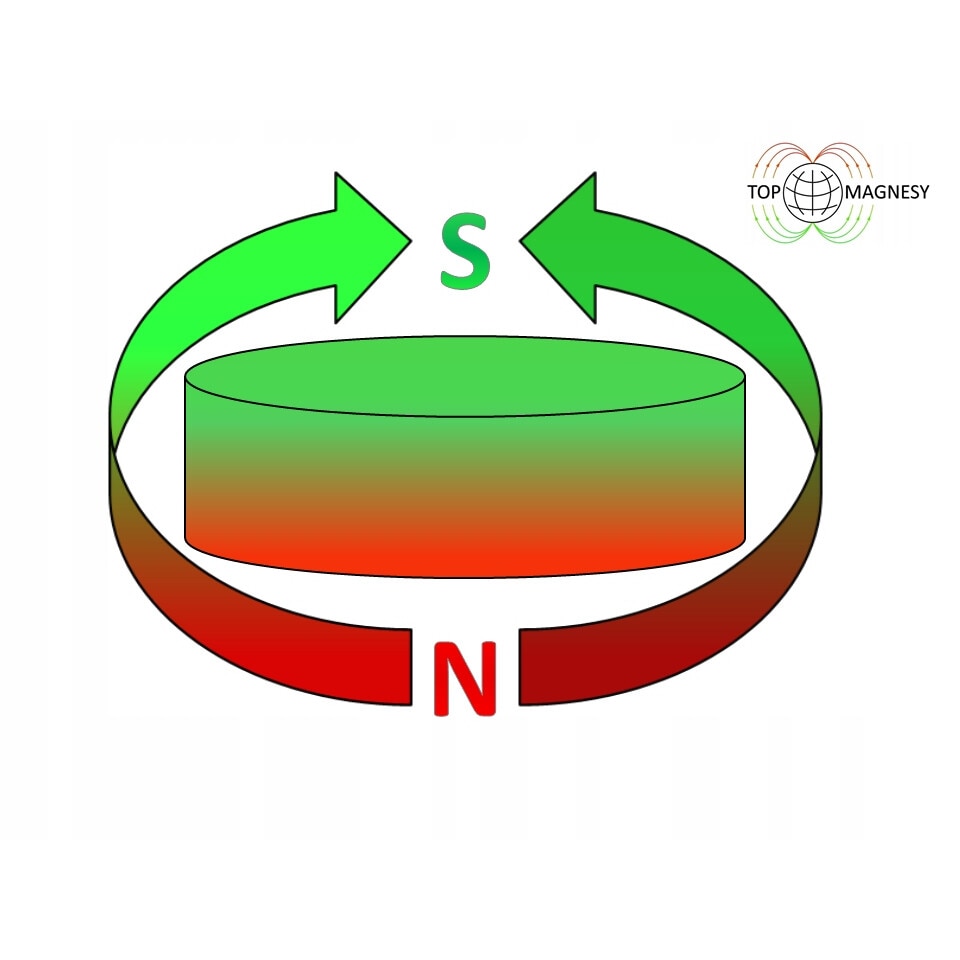 Set 50 Magneti Neodim Top Magnesy, 8x3 mm N38, Nichel/Cupru - eMAG.ro