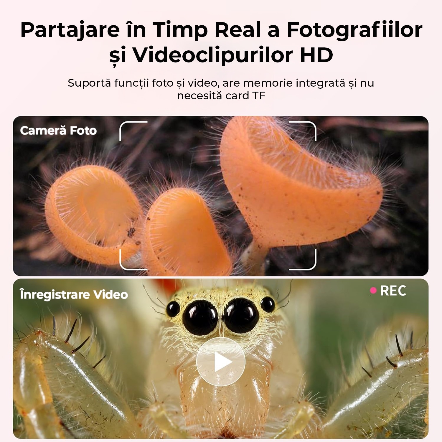 Microscop pentru Copii Educational, Portabil, Zoom 500x, Camera 2 MP ...