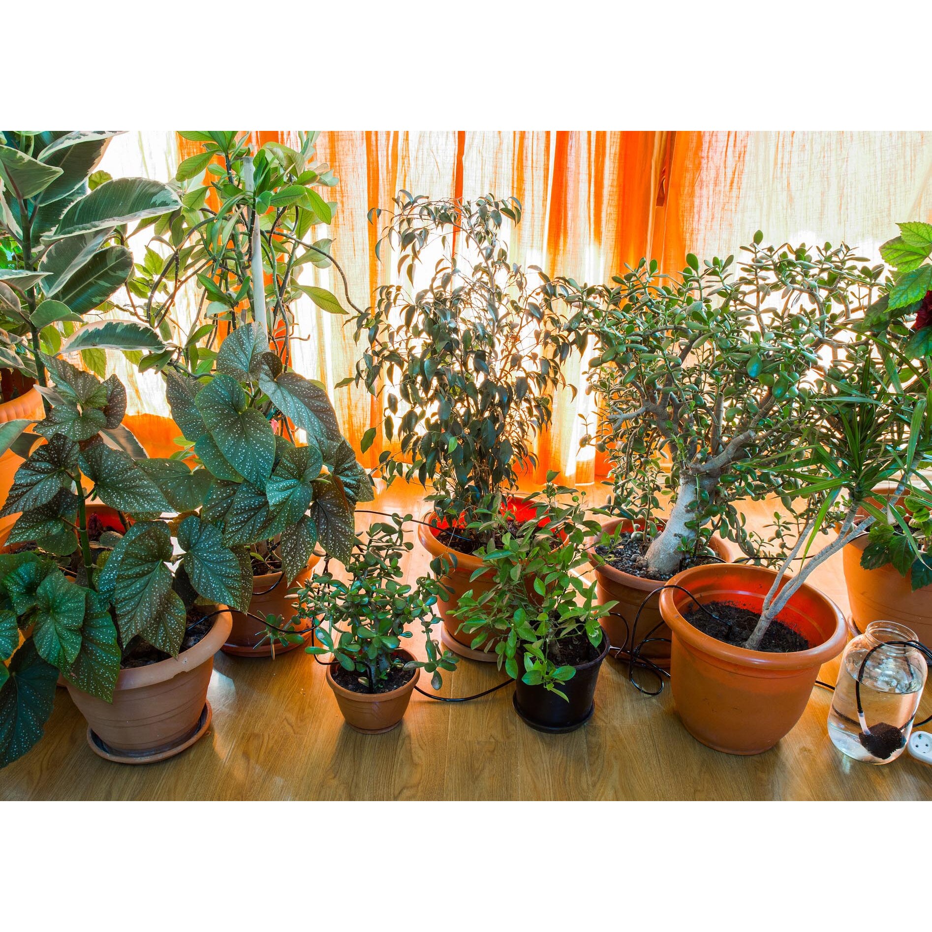 Kit micro irigatii, pana la 20 plante, complet automatizat cu priza ...