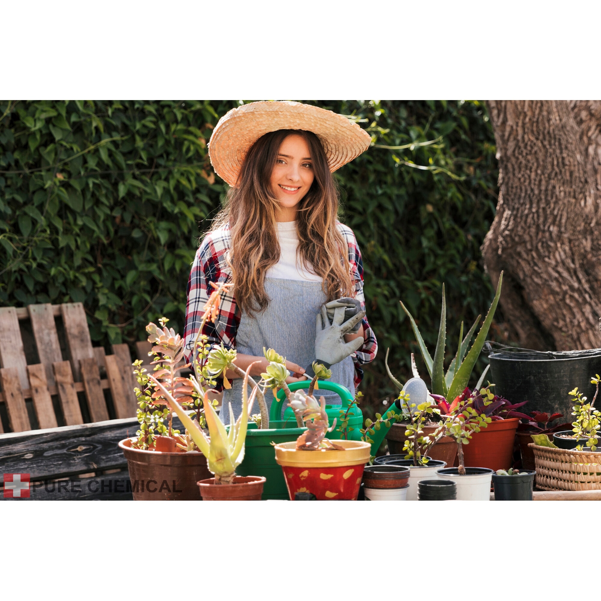 Azotat De Potasiu, Pure Chemical, Saltera Potasowa, Indispensabil In ...