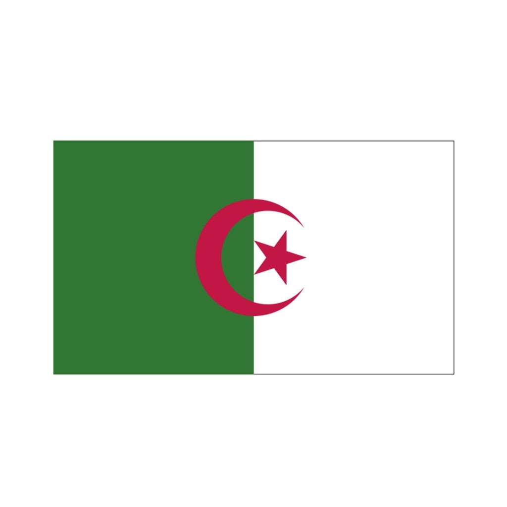 Petic termic steag Algeria, 150 x 150 mm, Multicolor - eMAG.ro