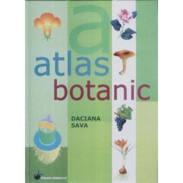 Atlas botanic Daciana Sava - eMAG.ro